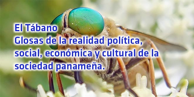 El Tábano | El Periódico de Panamá