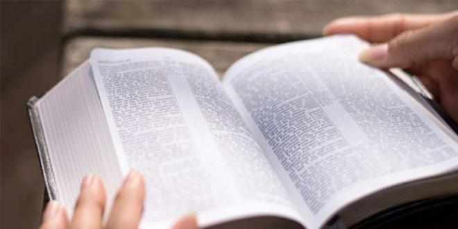 La Palabra.| | El Periódico de Panamá