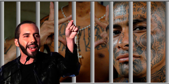 La guerra de Bukele contra las MARAS.| | El Periódico de Panamá